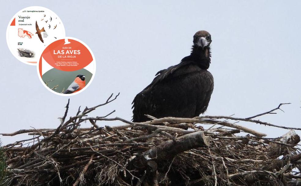 La 'Guía de las aves de La Rioja' recoge las 236 especies de la ...