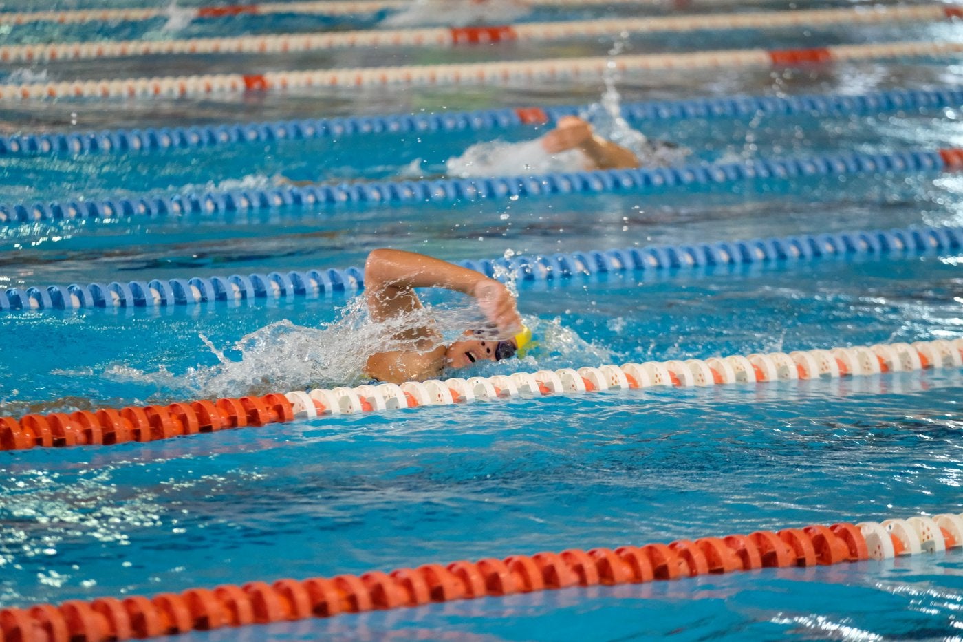 Los nadadores más jóvenes inician la campaña, tras dos jornadas de 'mayores' | La Rioja