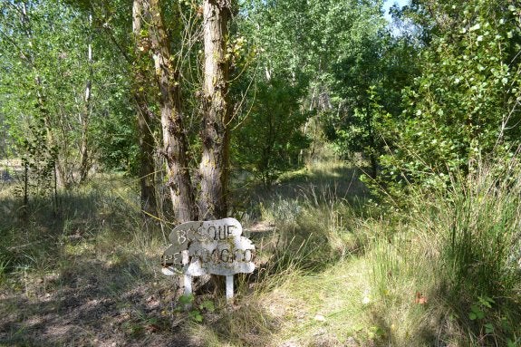El bosque enmarañado de Nájera | La Rioja