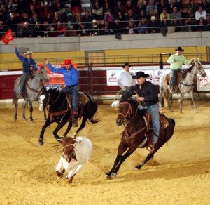 Los 'cowboys' mostraron su habilidad con el lazo | La Rioja